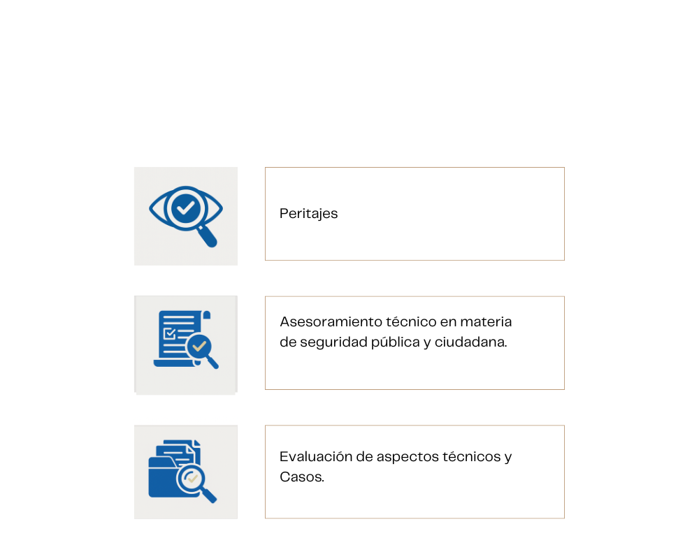 Servicios | Seguridad Forense